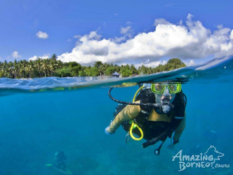 10 Things You Need to Know Before Your Diving Trips in Sabah ...