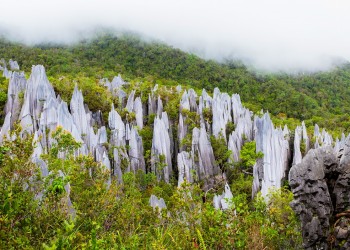 5D4N UNESCO Mulu National Park: Show Caves & Pinnacles Hike With Mulu ...