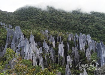 5D4N UNESCO Mulu National Park: Show Caves & Pinnacles Hike With Mulu ...